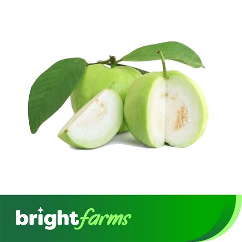 brightfarms Premium Guava Thai 250g delivery in Bangladesh | foodpanda